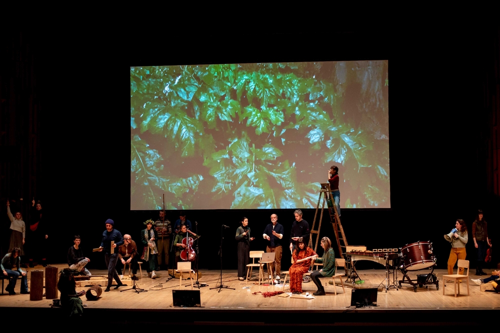 Tree Talks: Wood Sectional ← 2022–23 ← Musarc